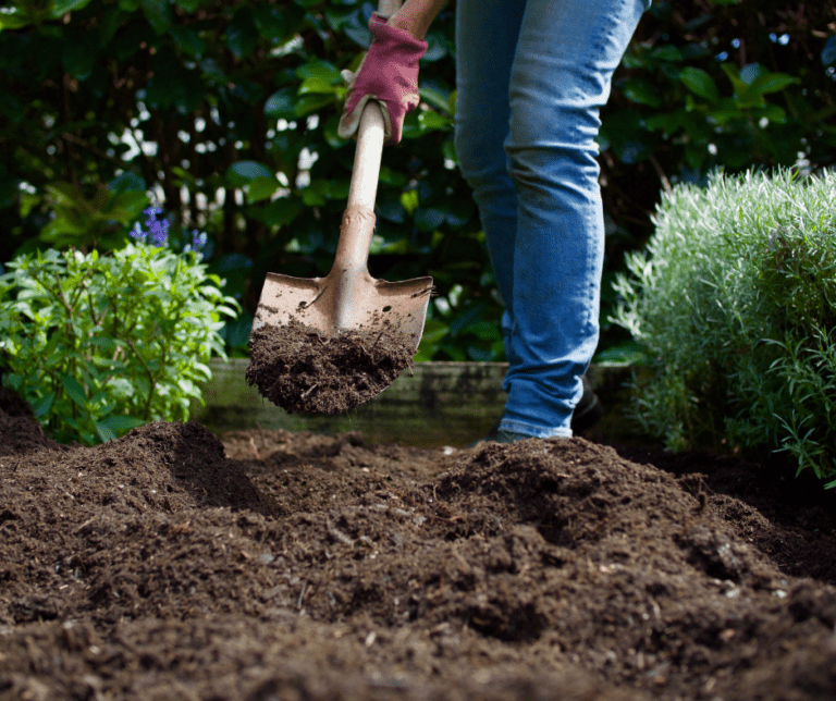 Prevent common gardening injuries - Osteo & Physio
